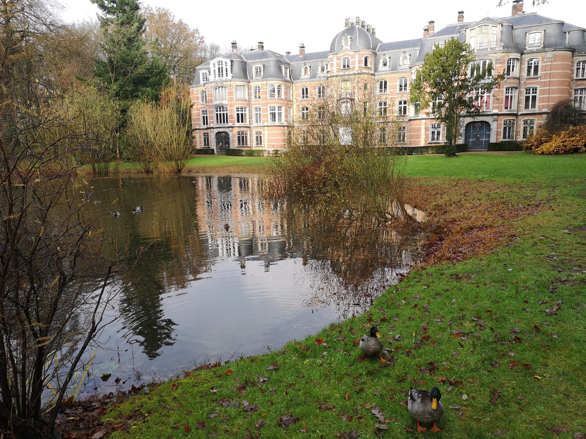 Lichtjeswandeling in Moretusbos | Polderke