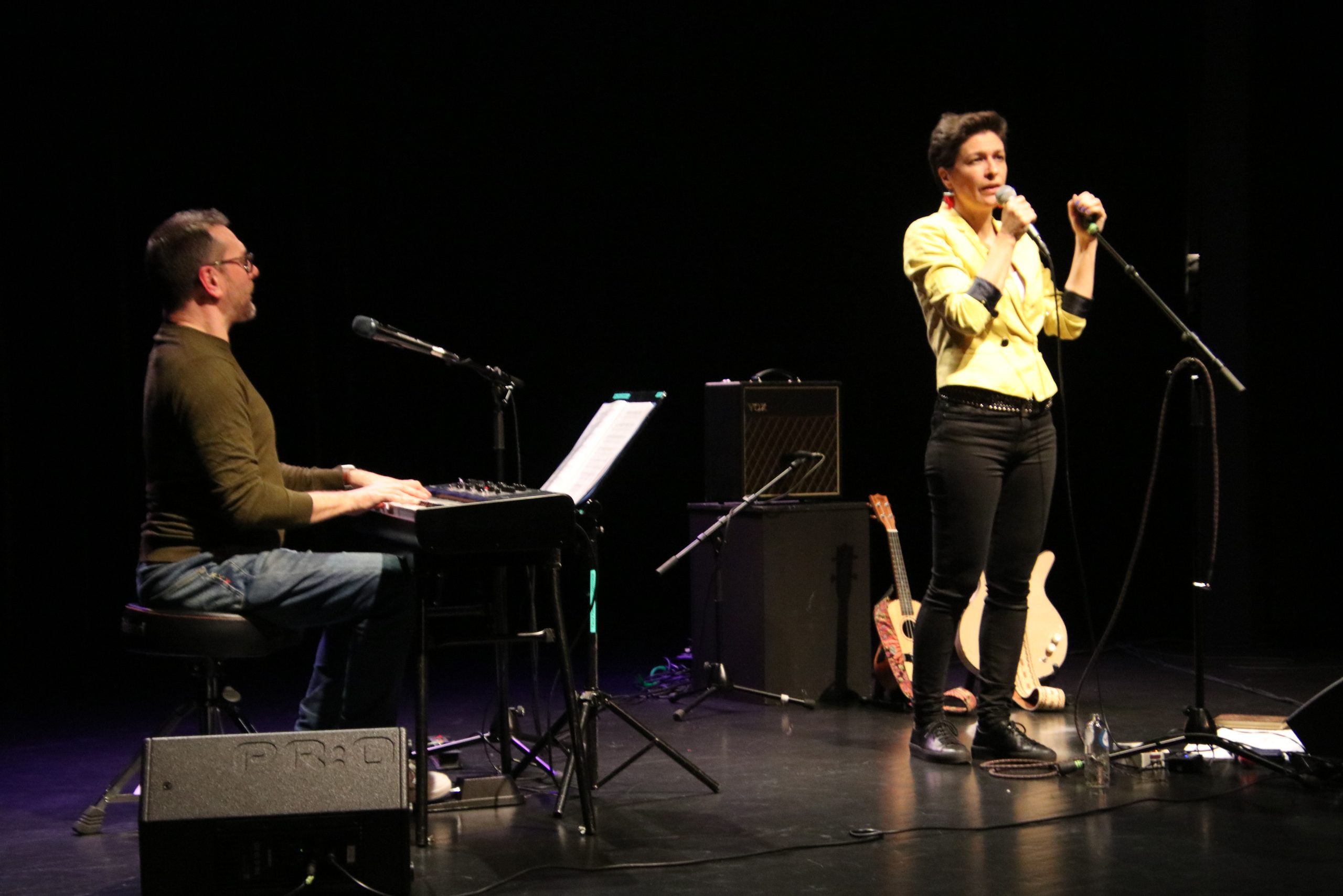 Fijne muzikale avond met Eva de Roovere | Polderke