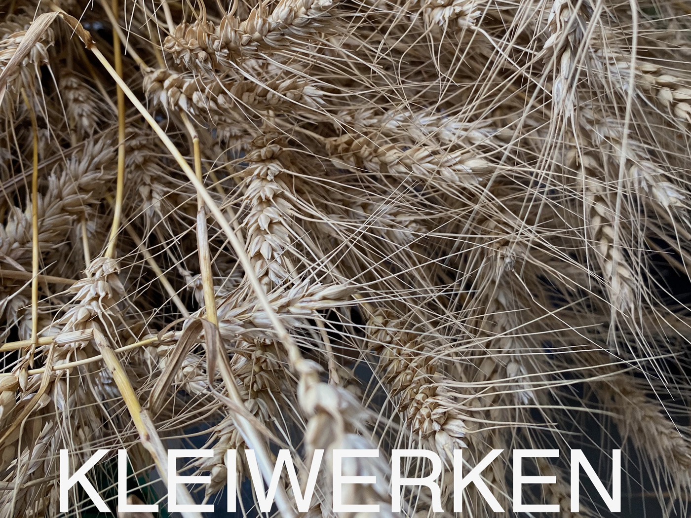 Expo: Wanneer Polderklei kunst wordt | Polderke